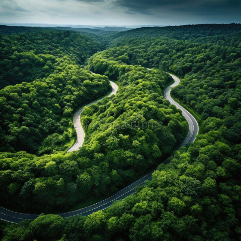 Aerial Top View Forest Road, during Sunset Stock Image - Image of drone ...