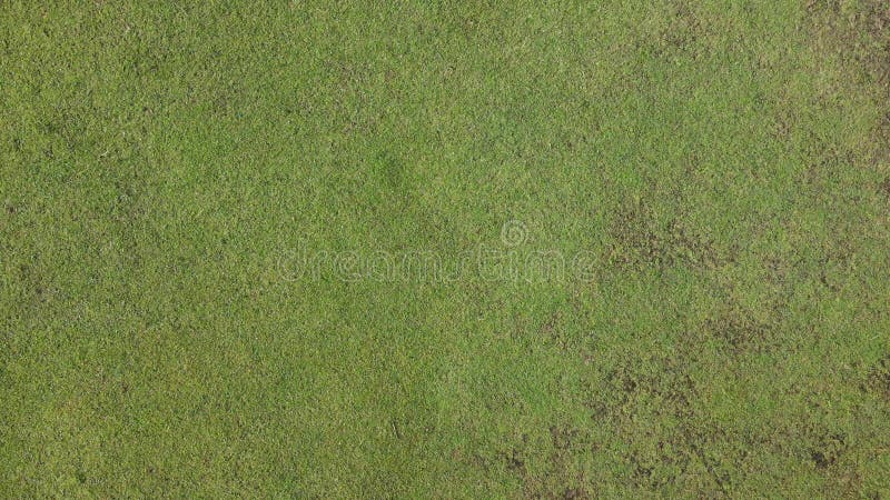 Aerial Top View Grass. Aerial Top Down Flyover Shot. Stock Video ...