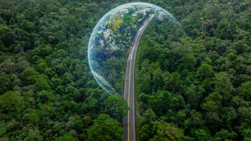 Aerial Top View of Green Forest Tree and Global Globe, Tropical Rain ...