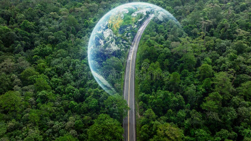 Aerial Top View of Green Forest Tree and Global Globe, Tropical Rain ...