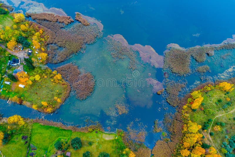 Top View of Lake and Forest Stock Image - Image of nature, aerial ...