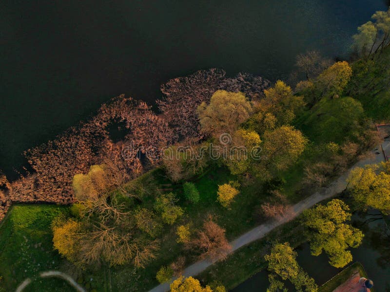 Aerial Top View of a Lake and Green Land Stock Photo - Image of nature ...