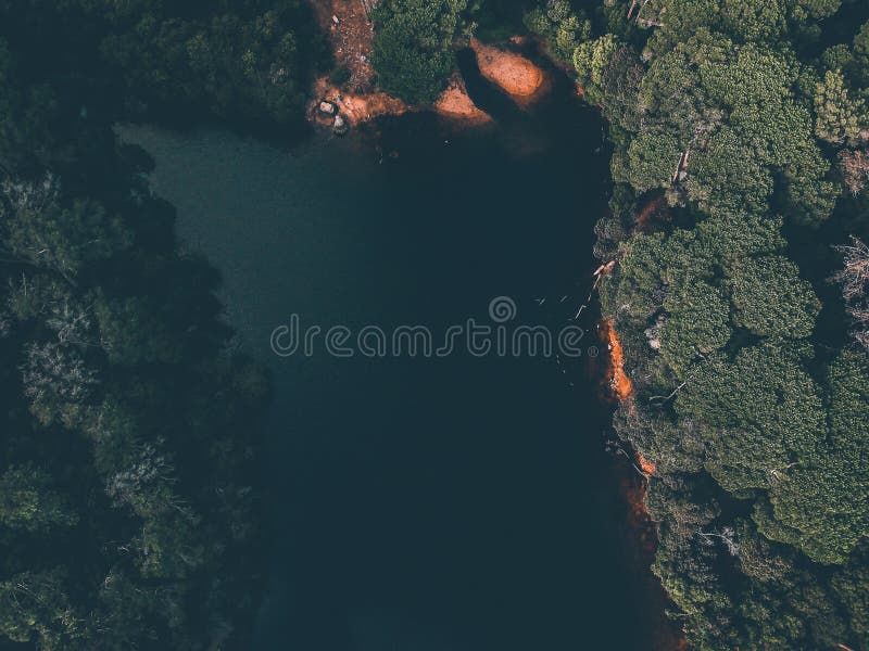 Aerial Top View from a Lake Surrounded by Trees Stock Image - Image of ...