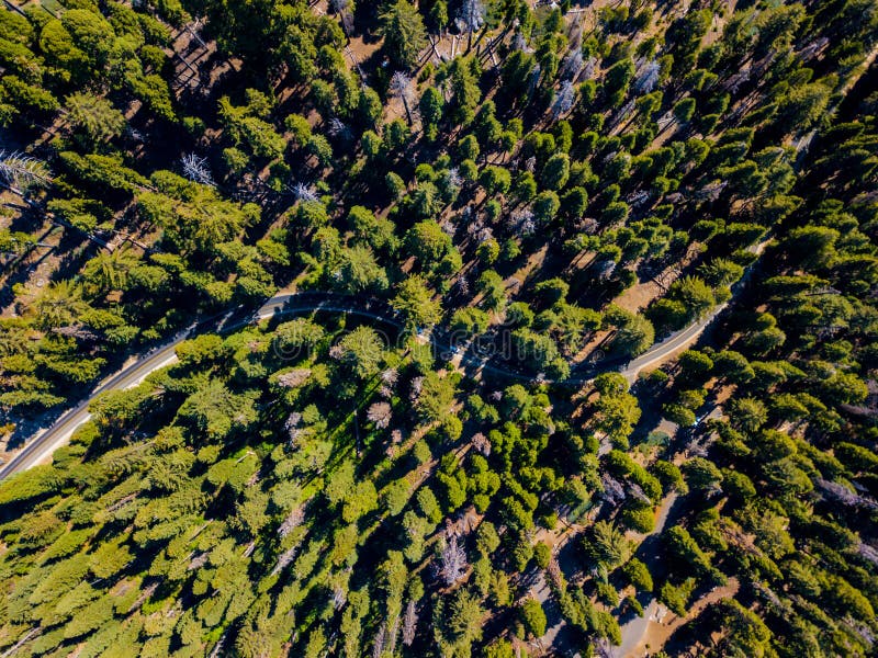 This View is Mesmerizing. an Attractive Young Woman Out for Canoe Ride ...