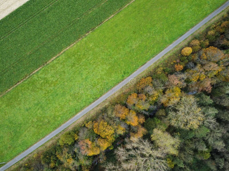 Aerial Top View Shot of Symmetrical Division between Forest and Field ...