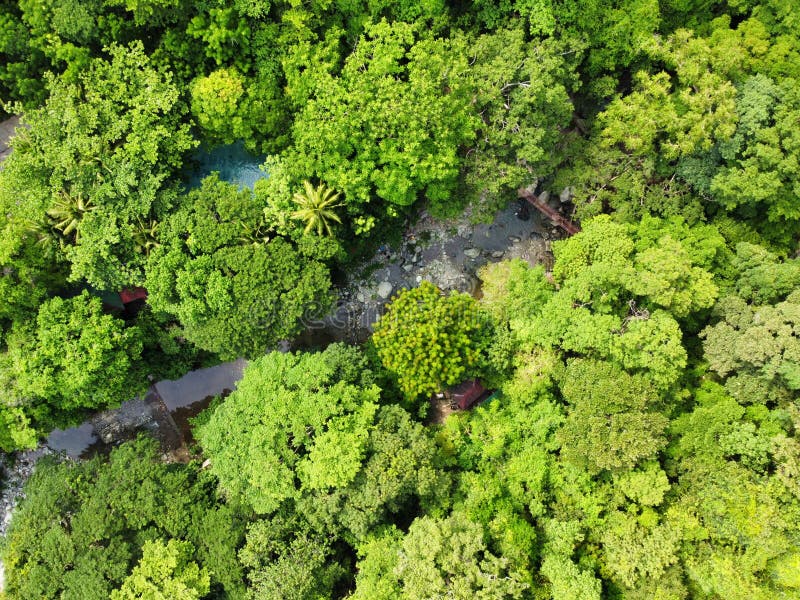 Aerial Top View of a Stream in a Forest Stock Image - Image of scenic ...