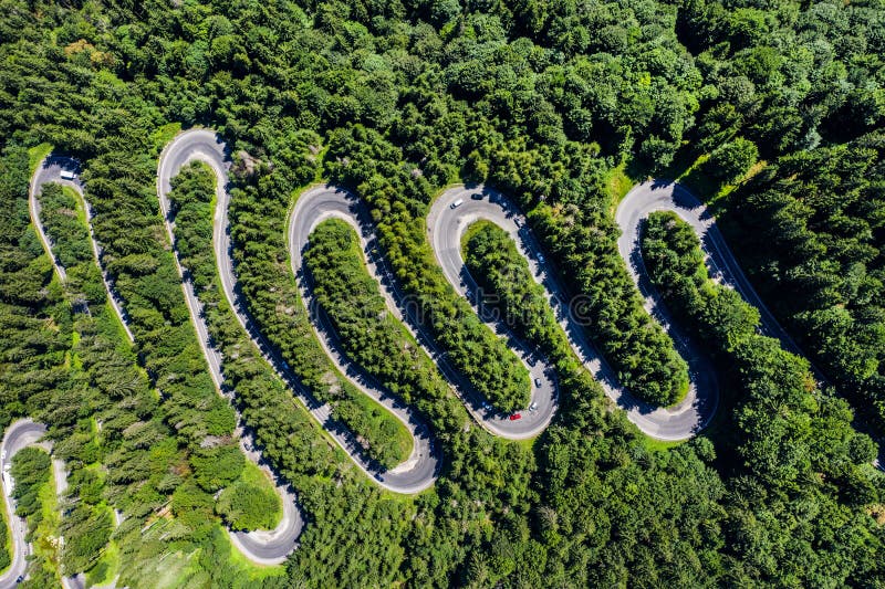 Aerial Top View of a Winding Road in Green Forest Stock Photo - Image ...