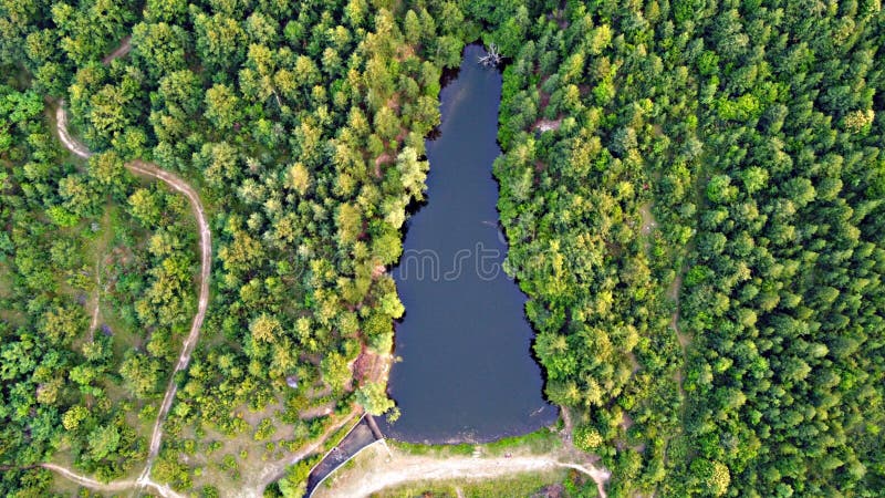Aerial of a Triangular-shaped Lake in the Middle of the Woods Stock ...