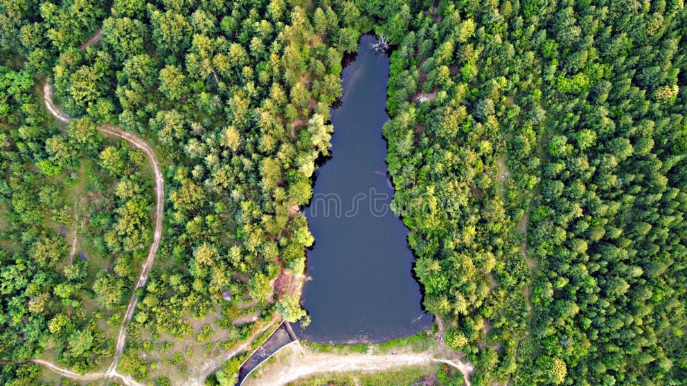 Aerial of a Triangular-shaped Lake in the Middle of the Woods Stock ...