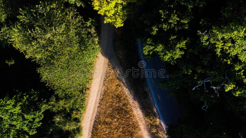 Aerial of Two Trails Intersection in the Middle of the Woods of Box ...