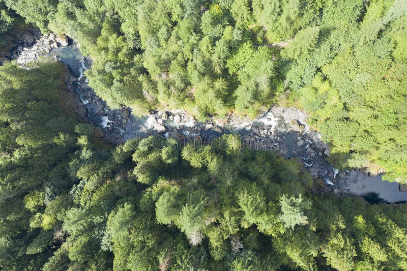 Above Looking Straight Down on River in Old Growth Trees Stock Photo ...