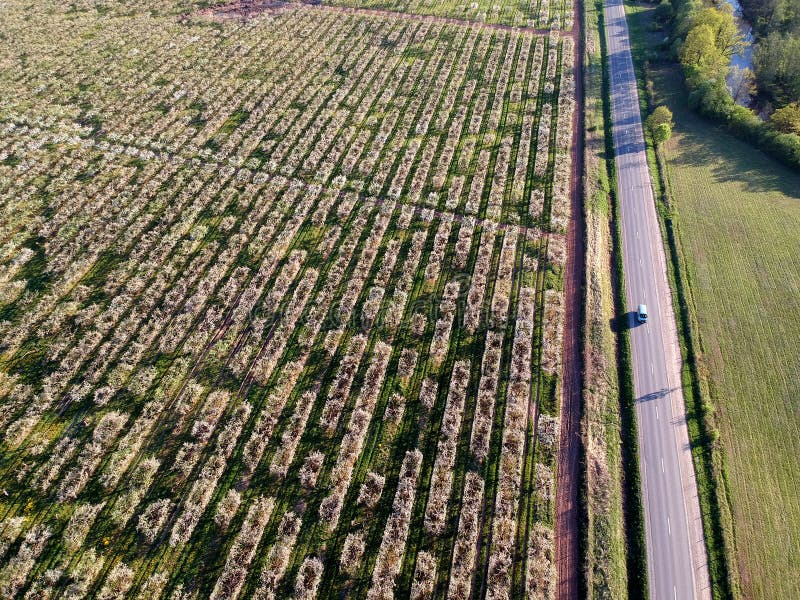 Large Apple Orchard Aerial View Stock Photos - Free & Royalty-Free ...