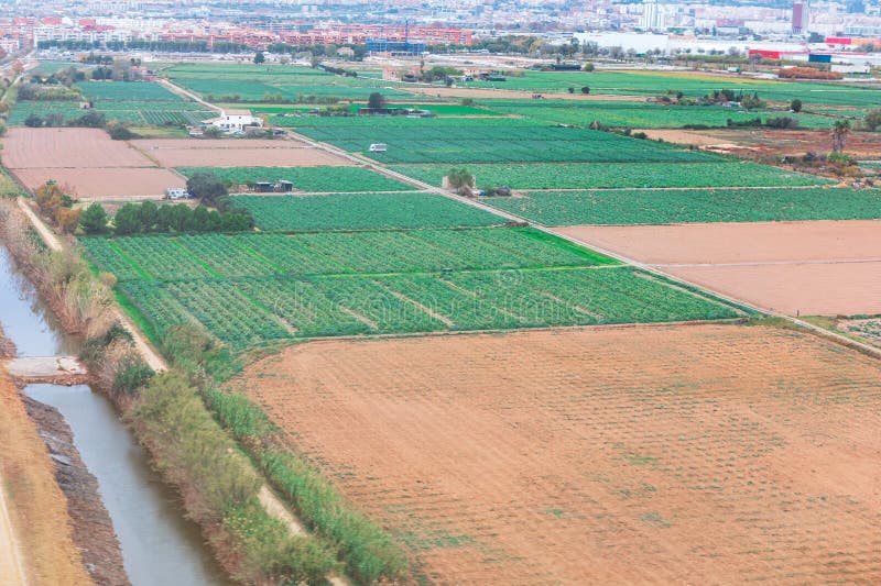 Aerial View of Agricultural Area with Multiple Rectangular Fields Stock ...