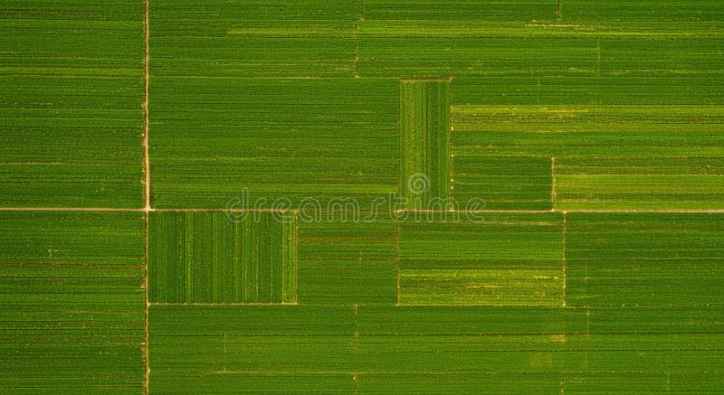 An Aerial View of Agricultural Fields Arranged in a Grid Pattern. the ...