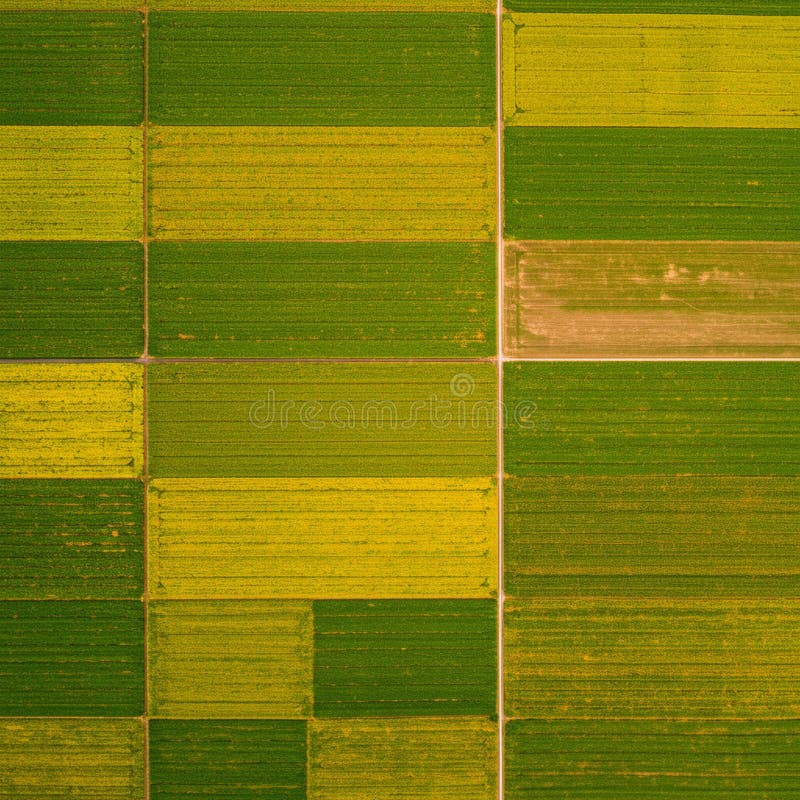 Aerial View of Agricultural Fields Arranged in a Grid Pattern ...