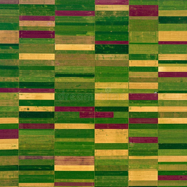 Aerial View of Agricultural Fields Arranged in a Patchwork Pattern ...