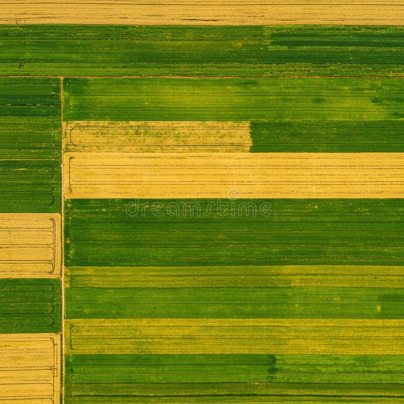Aerial View of Agricultural Fields Arranged in Rectangular Patterns ...