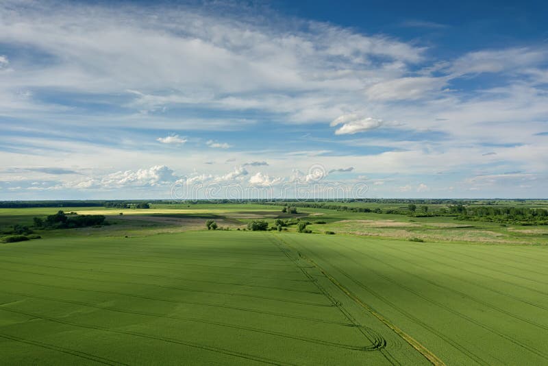 Aerial View of Agricultural Fields. Countryside, Agricultural Stock ...