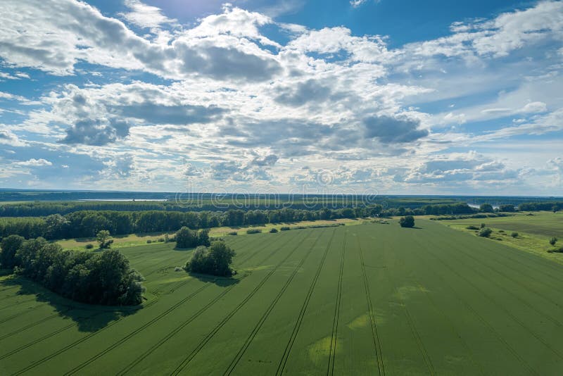 Aerial View of Agricultural Fields. Countryside, Agricultural Stock ...