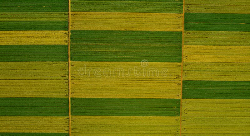 Aerial View of Agricultural Fields Featuring a Grid-like Pattern of ...