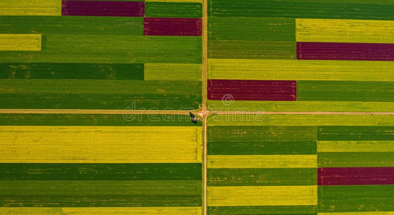 Aerial View of Agricultural Fields Featuring a Patchwork of Rectangular ...
