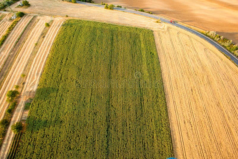 Aerial View of Agricultural Fields Stock Photo - Image of beautiful ...