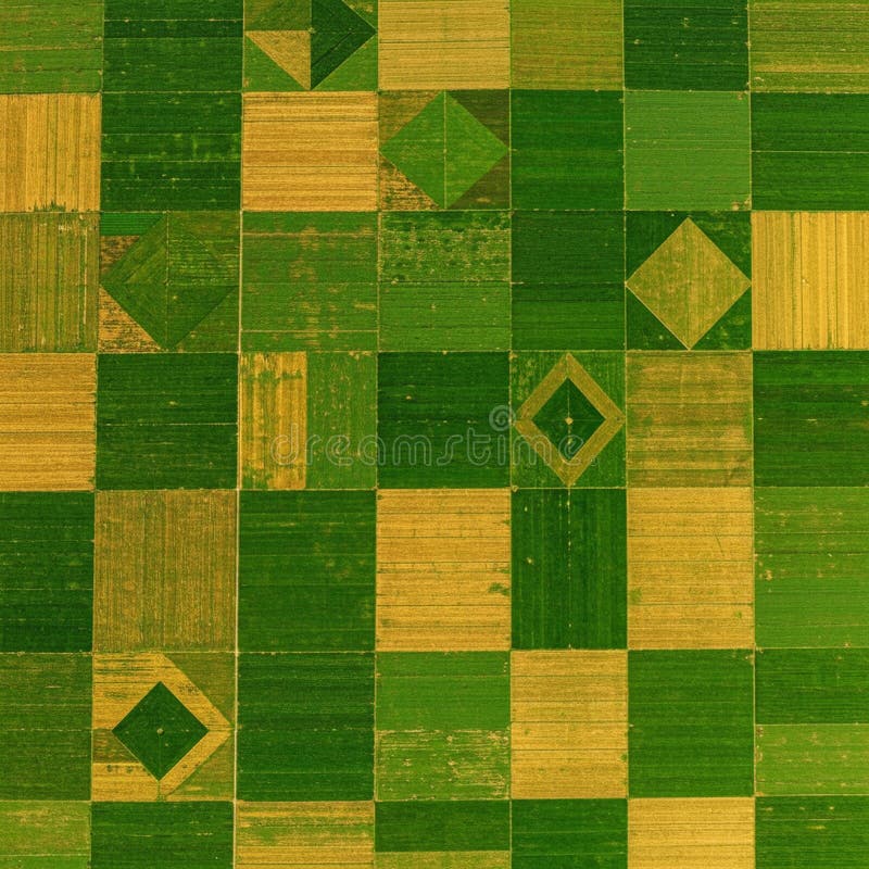 Aerial View of Agricultural Fields Organized in a Geometric Patchwork ...