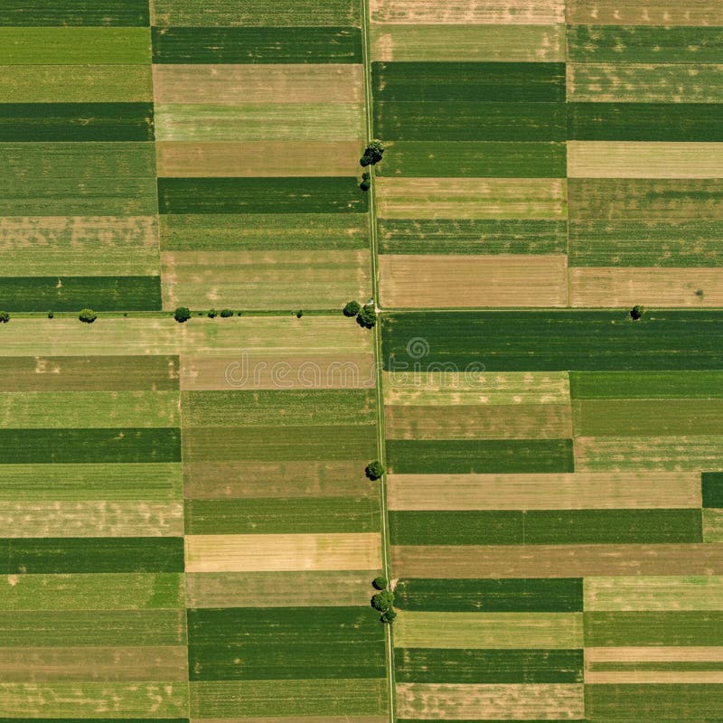 Aerial View of Agricultural Fields Showcasing a Patchwork of ...