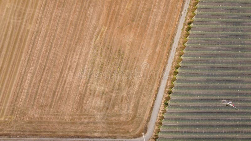 View of an Agricultural Landscape with Multiple Crops Growing Stock ...