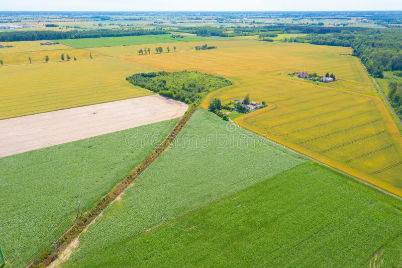 Aerial View of Agriculture Fields and Road . Arable Land View from ...