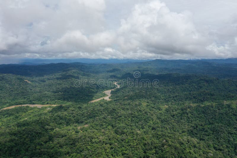 Aerial View of the Amazon with a Large Brown River Meandering through ...