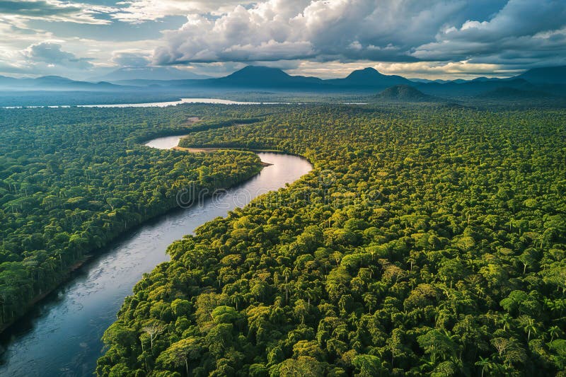 Aerial View of the Amazon Rainforest, One Third Covered by ...