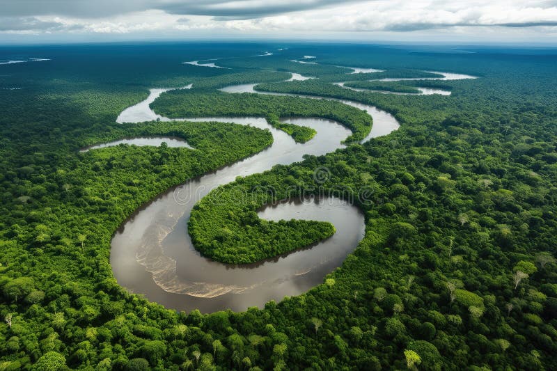 Aerial View of the Amazon River, with Its Waters Winding through Dense ...