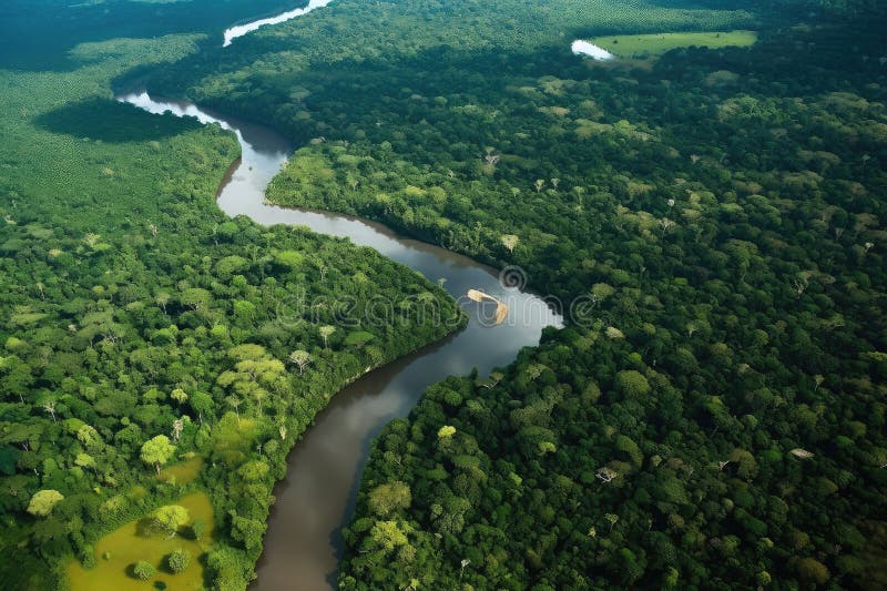 Aerial View of the Amazonas, with Clear View of Tributaries and ...
