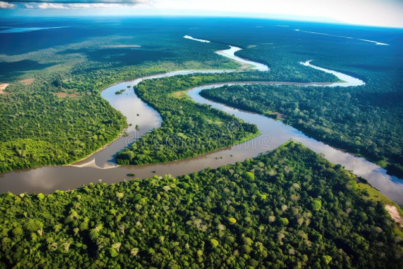 Aerial View of the Amazonas, with Dense Rainforest and Winding Rivers ...