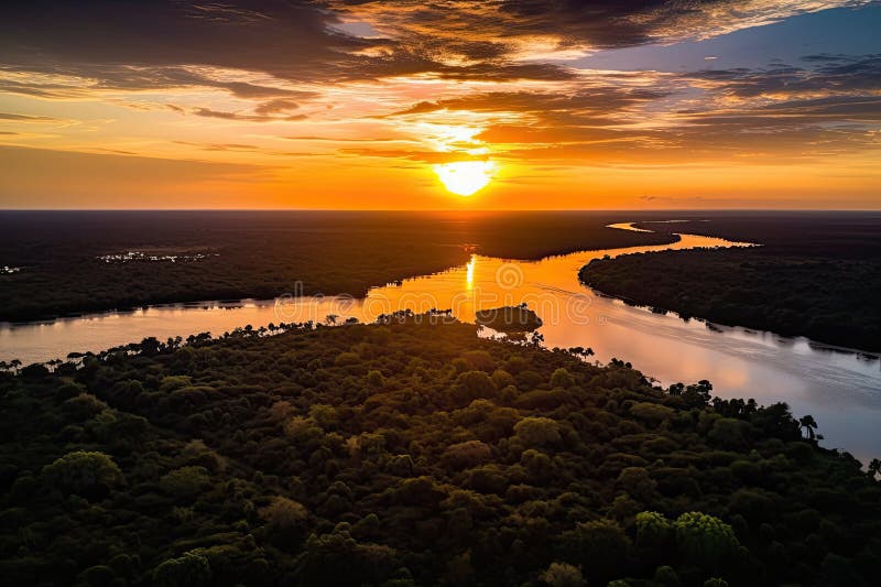 Aerial View of Lush Jungle, with Waterfalls and Wildlife Visible Stock ...
