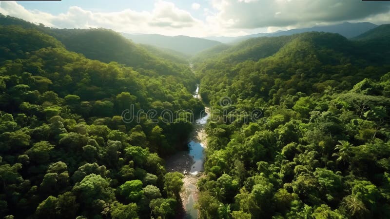 Aerial View of the Amazons Jungle Landscape. Generative AI. Stock ...