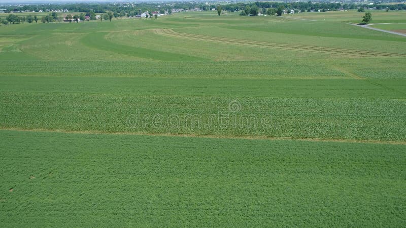 Aerial View of an Amish Farm Countryside Stock Photo - Image of ...