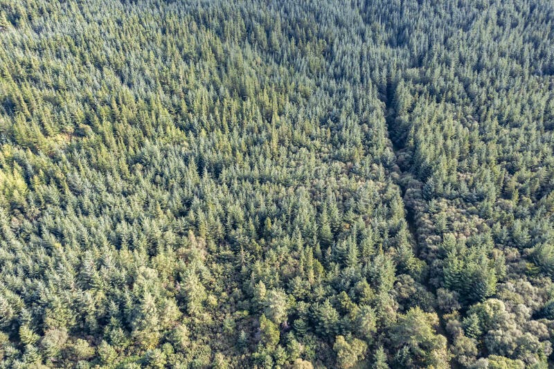 Aerial View of the Ards Forest Park in County Donegal, Ireland Stock ...