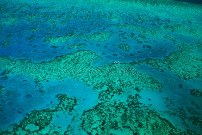 Arlington Reef at Great Barrier Reef Marine Park Stock Photo - Image of ...