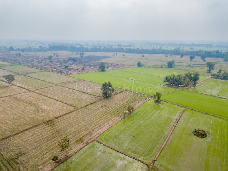 Aerial View Asian Green Fields Stock Image - Image of beautiful ...