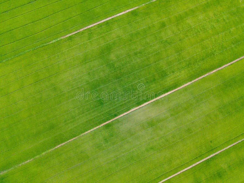 Aerial View Asian Green Fields Stock Photo - Image of beautiful ...