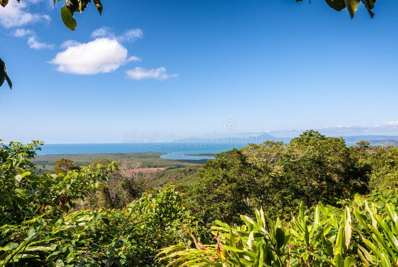 Aerial View of Australian Vegetation, Queensland Stock Image - Image of ...