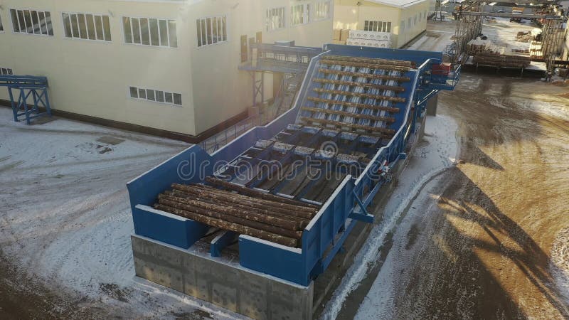 Sorting Line Worker at Agricultural Processing Factory Checking Ripe ...