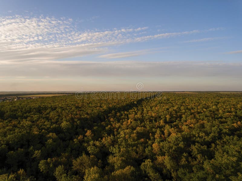 Aerial View of Autumn Forest. Stock Photo - Image of autumn, season ...