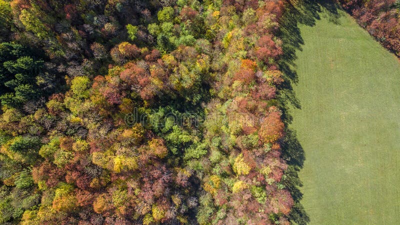 Aerial View of Autumn Forest Stock Image - Image of tree, green: 105354977