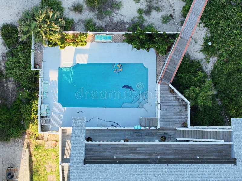 Aerial View of Backyard Pool with Deck and Greenery. Editorial Photo ...