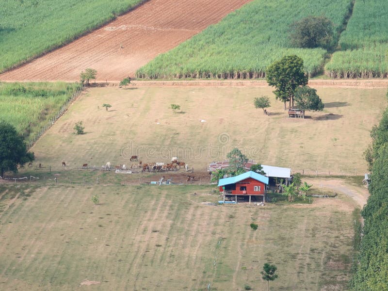 An Aerial View of the Barn and the Cattle Area. Stock Image - Image of ...