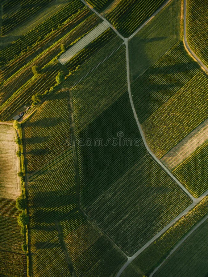 Aerial View of Beautiful Agro Fields in Summer, Europe Stock Image ...