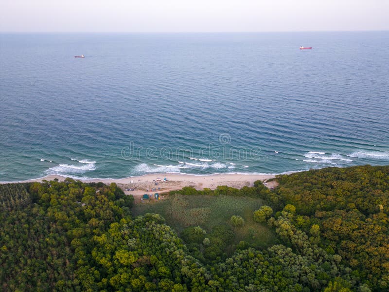 Aerial View of a Beautiful Beach with a Forest and Sand. Stock Image ...